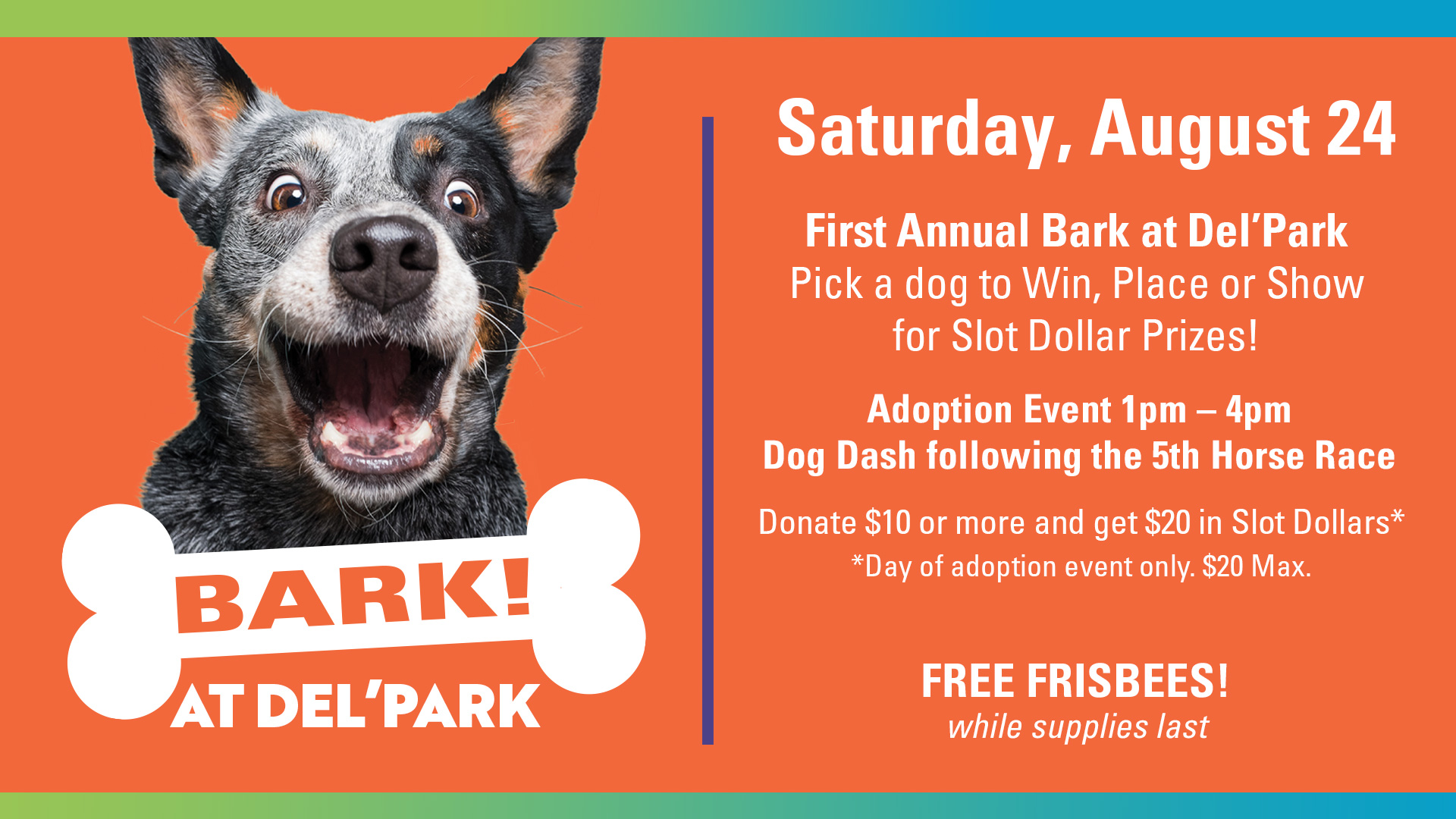 Delaware Park - Delaware Park